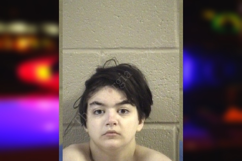 Alexis Ramsey — Whitfield County Jail Bookings