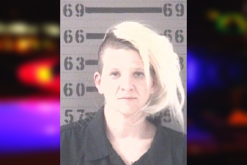 Haley Mcdonald — Dougherty County Jail Bookings