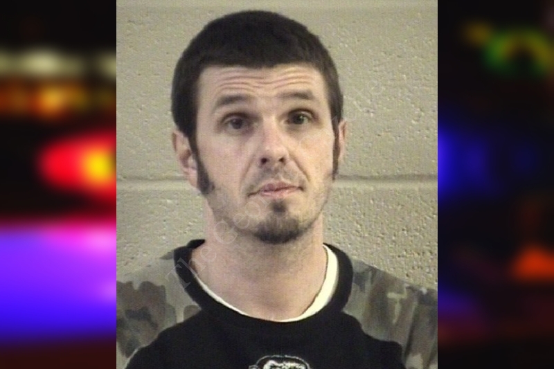 Matthew Amos — Whitfield County Jail Bookings