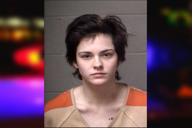 Skyler Adams — Paulding County Jail Bookings