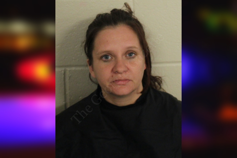 Erin Pyle — Floyd County Jail Bookings