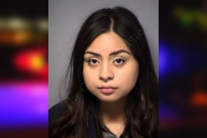 Vanessa Roman — Lowndes County Jail Bookings