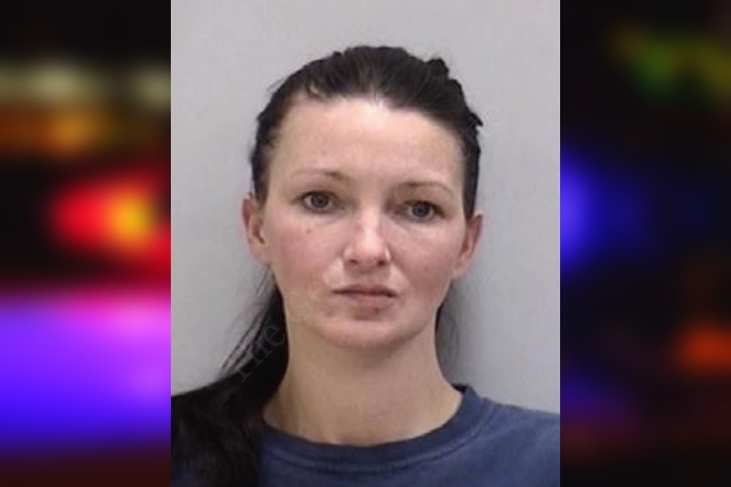 Ashleigh Wilson — Bartow County Jail Bookings