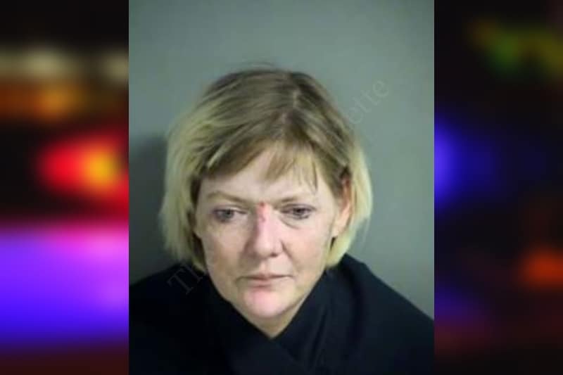 Kelly Nix — Lowndes County Jail Bookings