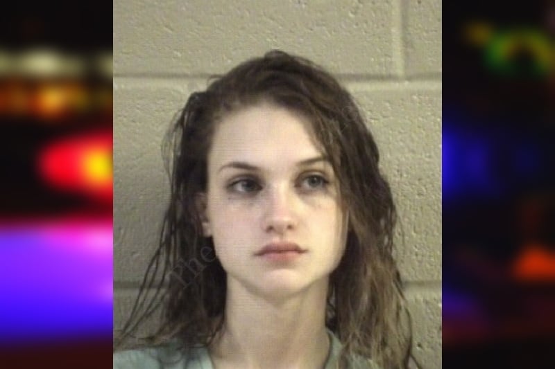 Gabrielle Dye - Whitfield County