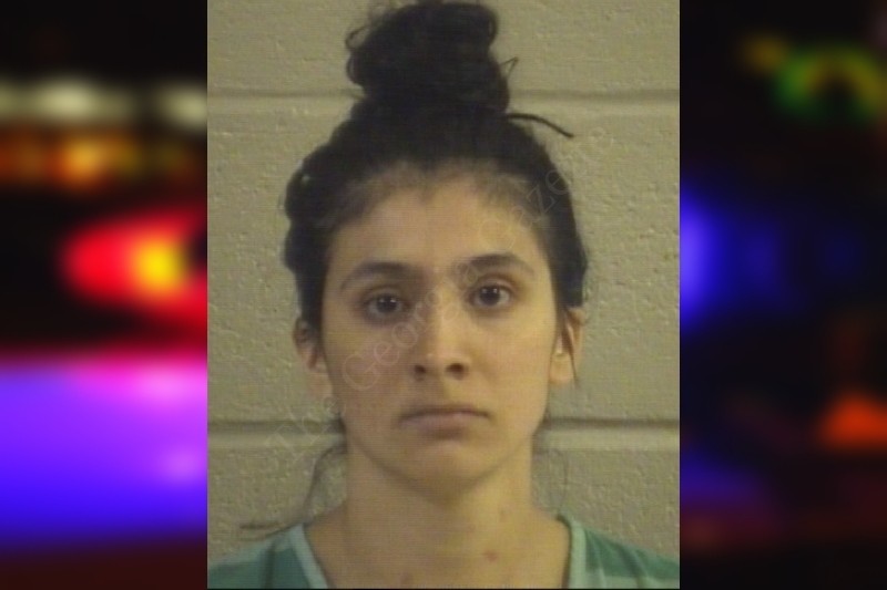 Amanda Guzman — Whitfield County Jail Bookings
