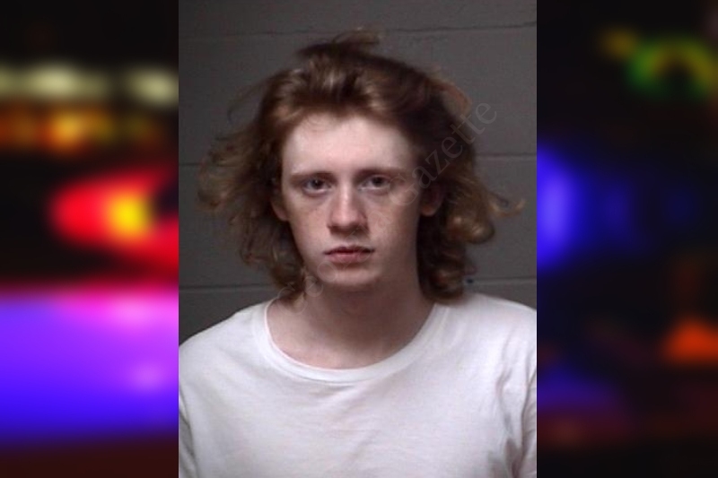 Nathan Blalock — Paulding County Jail Bookings