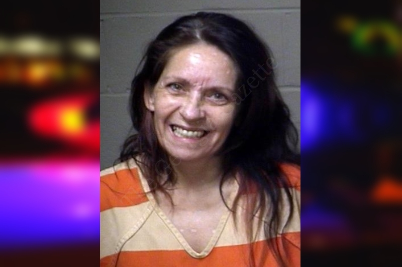 Nancy Crowe — Paulding County Jail Bookings