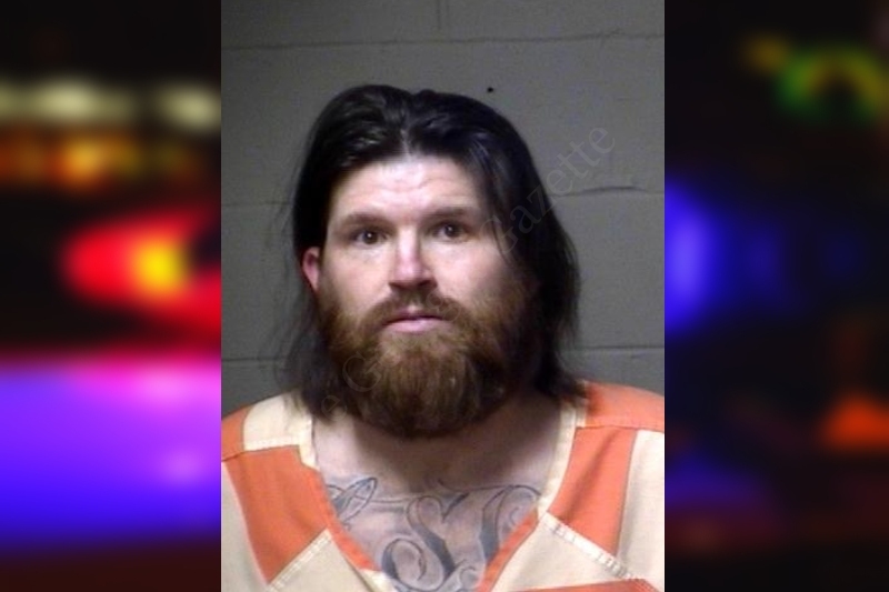 Brandon Dickerson — Paulding County Jail Bookings