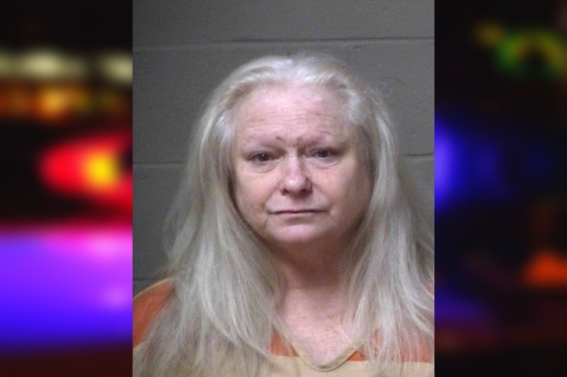 Lisa Dunagan — Paulding County Jail Bookings