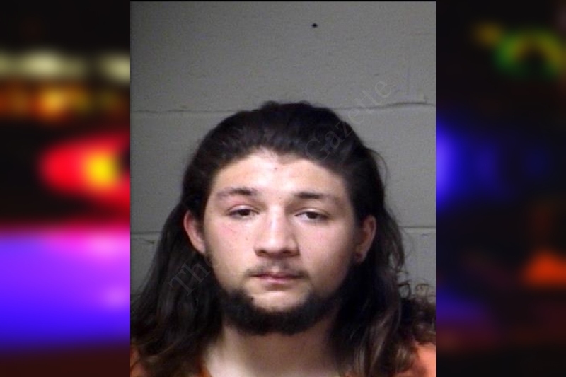 Austin Edgar — Paulding County Jail Bookings