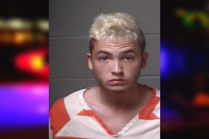 Joseph Fancher — Paulding County Jail Bookings