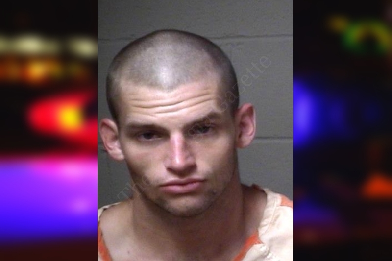 Brandon George — Paulding County Jail Bookings