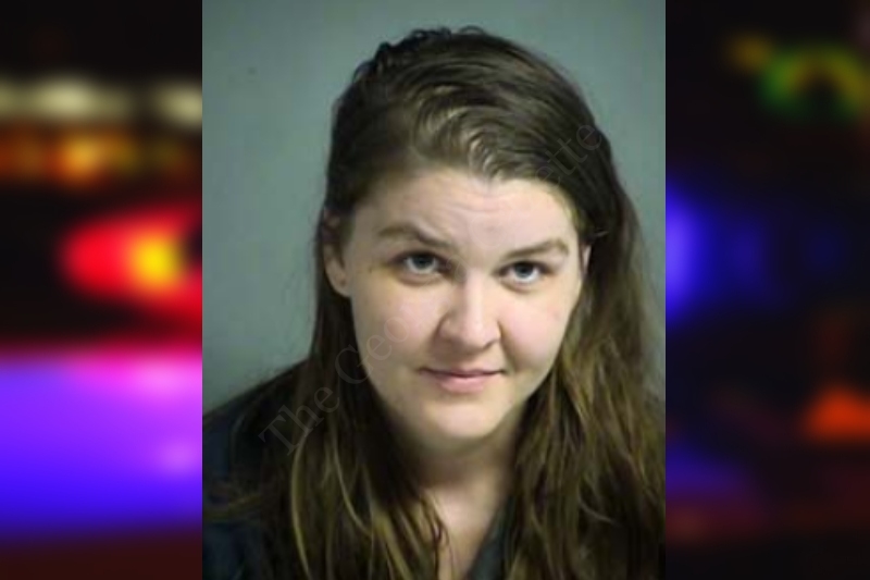 Julie Rice — Lowndes County Jail Bookings