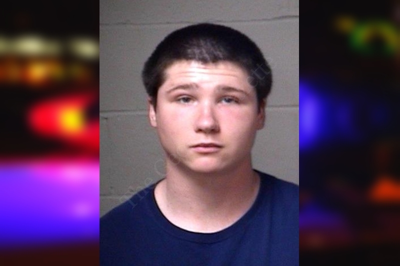 Tyler Taylor — Paulding County Jail Bookings
