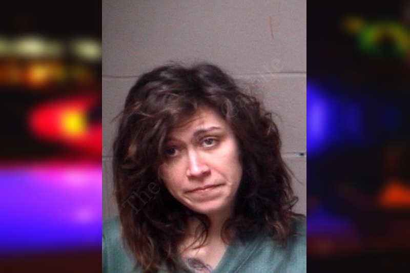 Ashley Vines — Paulding County Jail Bookings