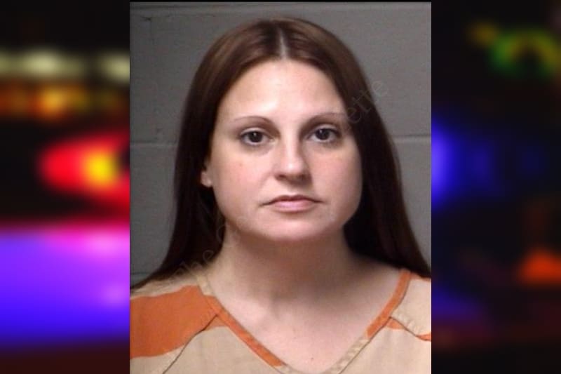 Mindy Ardito — Paulding County Jail Bookings