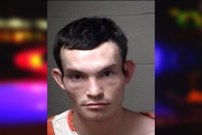 Chason Mcgathy — Paulding County Jail Bookings