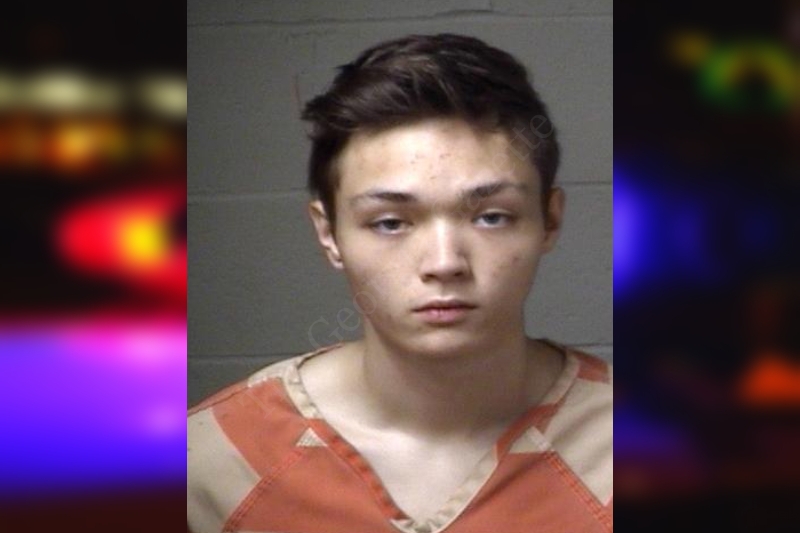 Jesse Hawk — Paulding County Jail Bookings