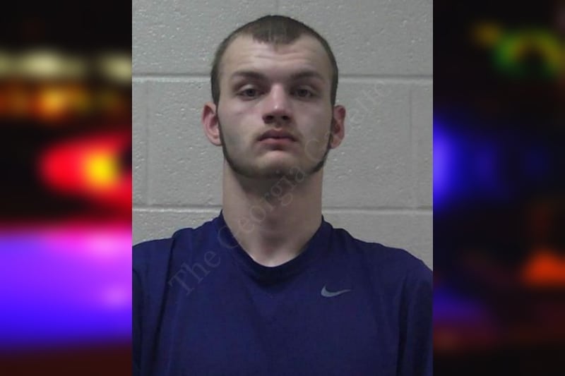 Austin Potts | Gilmer County