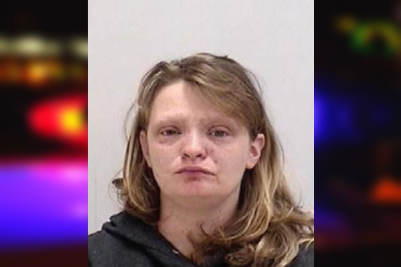 April Chambers — Bartow County Jail Bookings