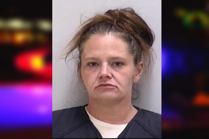 Amanda Cook — Bartow County Jail Bookings