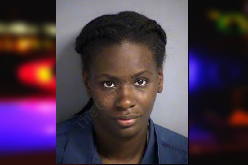 Shaquisha Mcdaniel — Lowndes County Jail Bookings