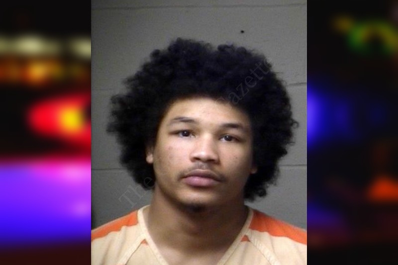 Demetrius Miller — Paulding County Jail Bookings