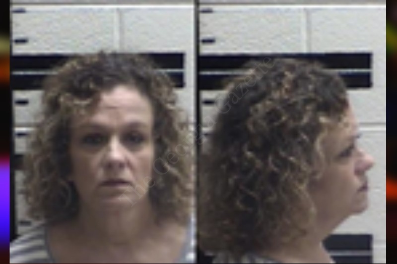 Sonya Sneed — Murray County Jail Bookings