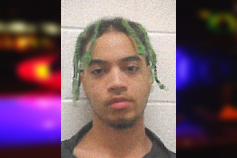 Shawn Bloom — Henry County Jail Bookings