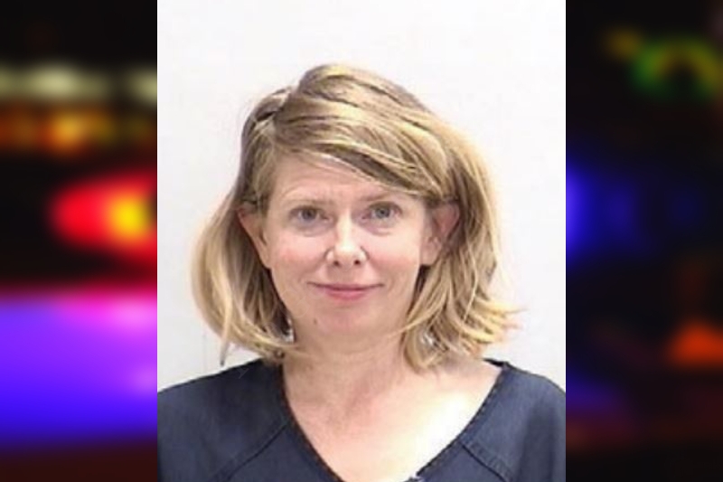 Alison Goodwin — Bartow County Jail Bookings