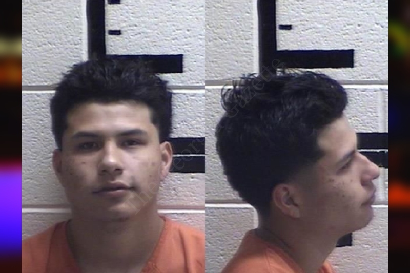 Cesar Torres — Murray County Jail Bookings