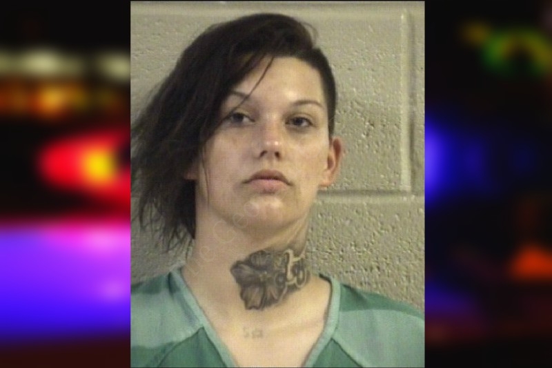 Alexandra Stennett — Whitfield County Jail Bookings