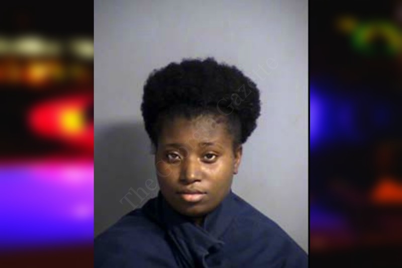 Tierra Johnson — Lowndes County Jail Bookings