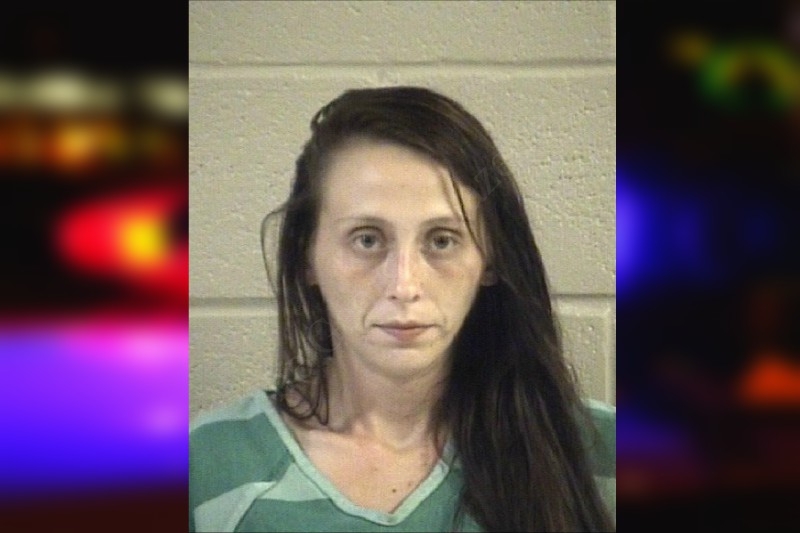 Katie Lee — Whitfield County Jail Bookings