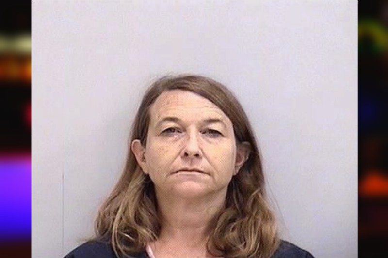 Lisa Phipps — Bartow County Jail Bookings