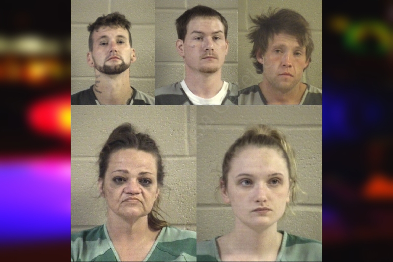 Dalton drug investigation leads to 5 felony arrests — Whitfield County ...