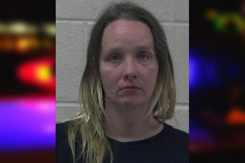 Erica Hallford — Gilmer County Jail Bookings