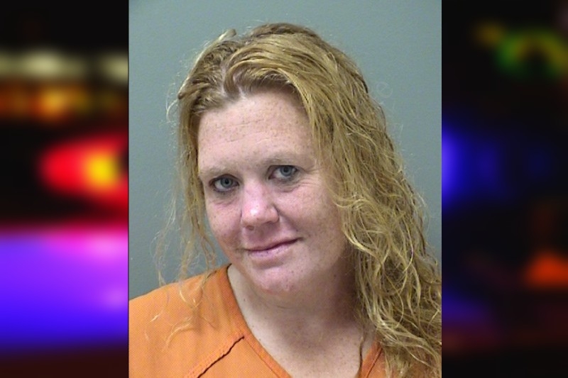 Tonya Thomason — Cherokee County Jail Bookings