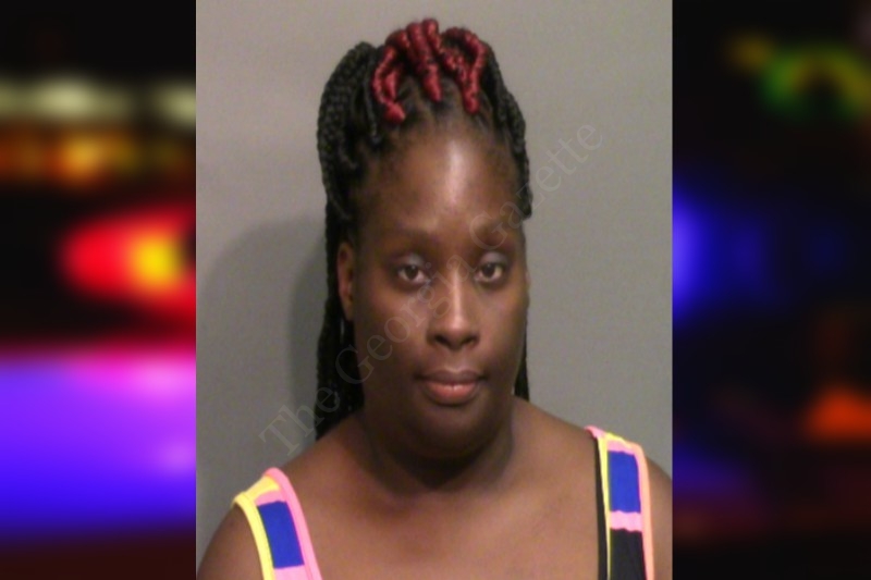 Ashley Brunner — Glynn County Jail Bookings