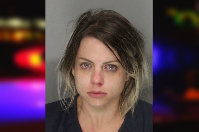 Christina Capps — Cobb County Jail Bookings