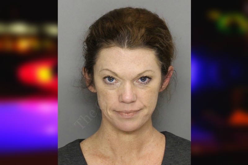 Susan Carter — Cobb County Jail Bookings