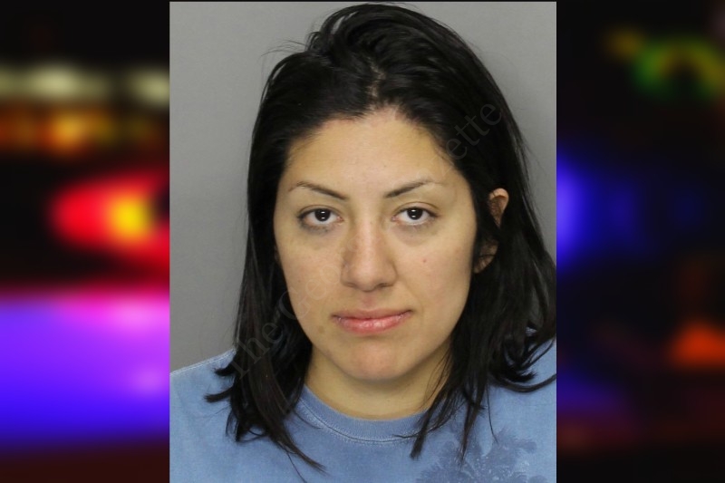 Ana Cowan — Cobb County Jail Bookings