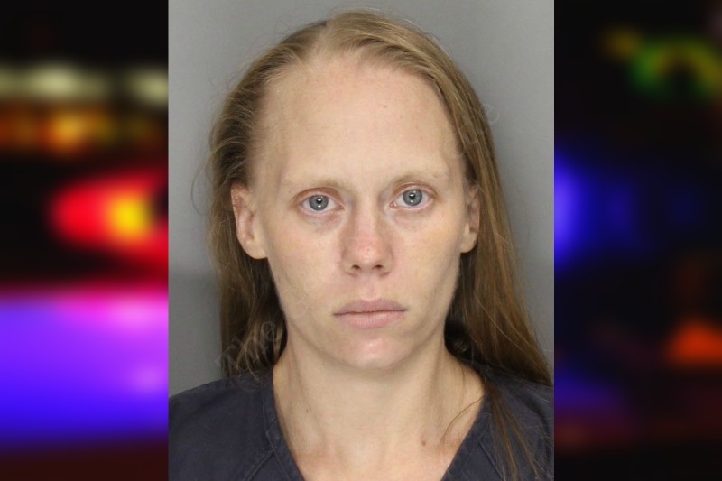 Candice Gentry — Cobb County Jail Bookings