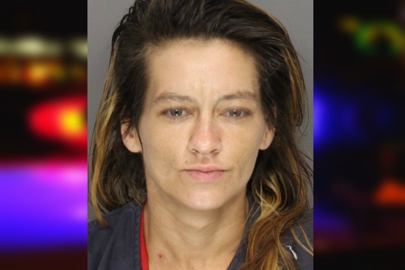 Toni Gore — Cobb County Jail Bookings