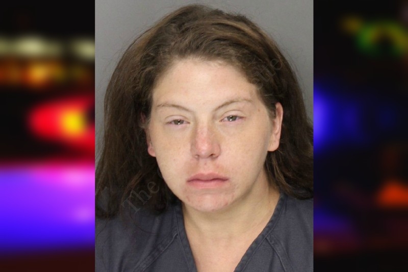 Laura Lockett — Cobb County Jail Bookings