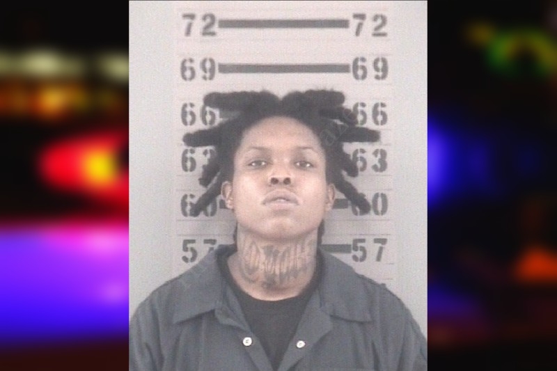 Sharnell Mckenzie — Dougherty County Jail Bookings