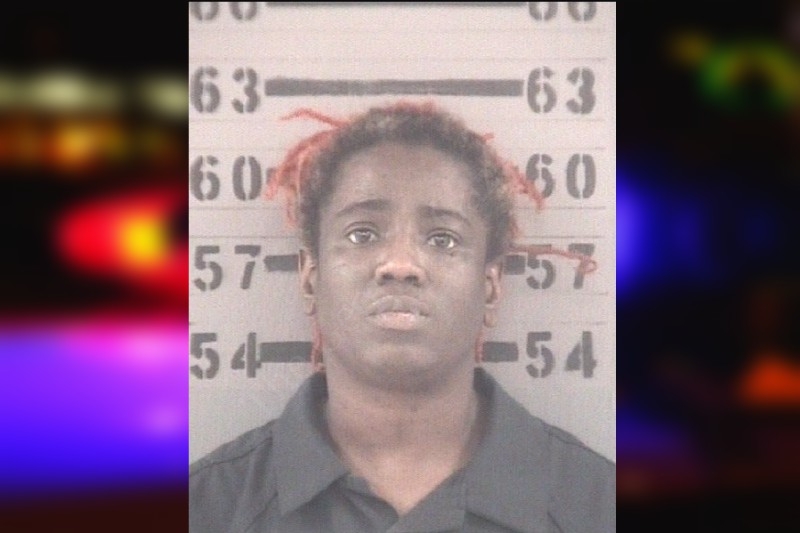 Michelle Morgan — Dougherty County Jail Bookings