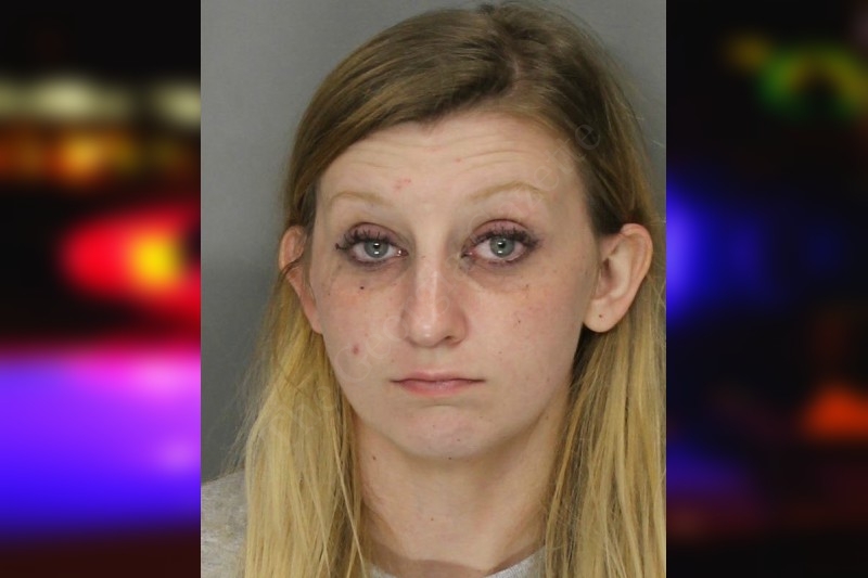 Chloe Satterfield — Cobb County Jail Bookings