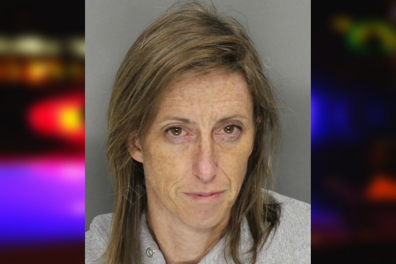 Mary Skipper — Cobb County Jail Bookings